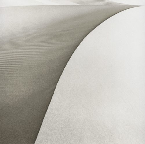 Tim Hall Biography | Crane Kalman Brighton